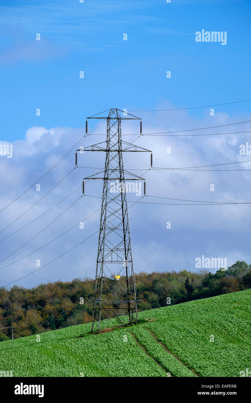Electricity pylon in a field Stock Photo - Alamy