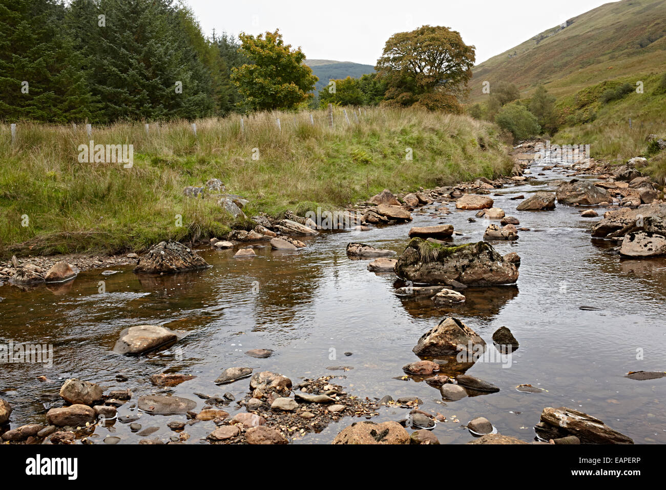 Succoth hi-res stock photography and images - Alamy