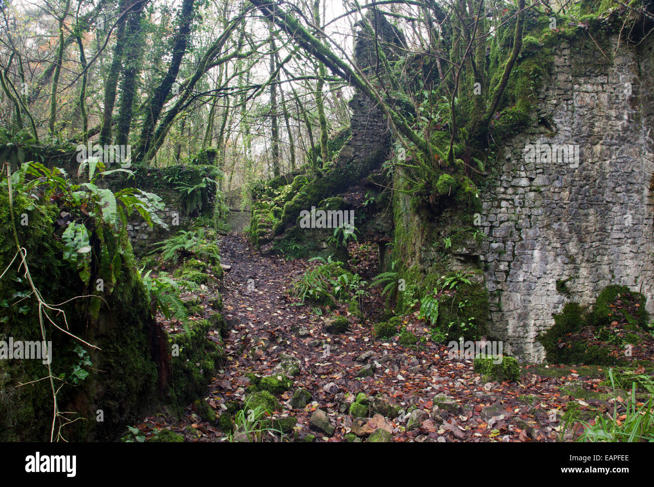 Mells somerset iron works hi-res stock photography and images - Alamy