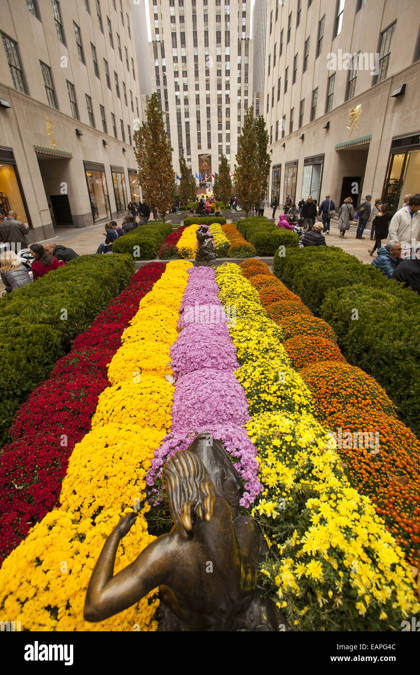 Autumn flower installation at Rockefeller Plaza, looking from the east ...