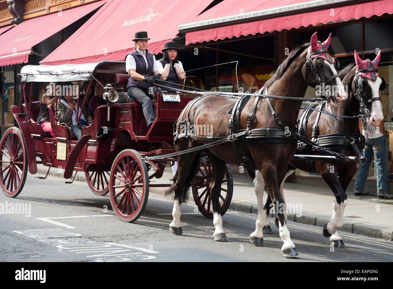 Carriage Driving Uk High Resolution Stock Photography and Images - Alamy