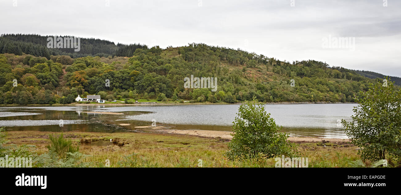 By Castle Lachlan. Overlooking Loch Fyne. Near Strachur. Argyll ...