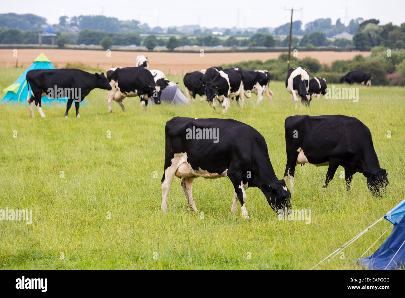 Guards tent hi-res stock photography and images - Alamy