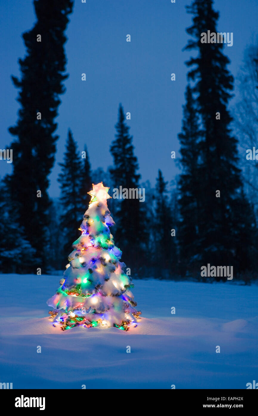 Lit Christmas Tree In Snow Outside During Winter At Twilight In ...