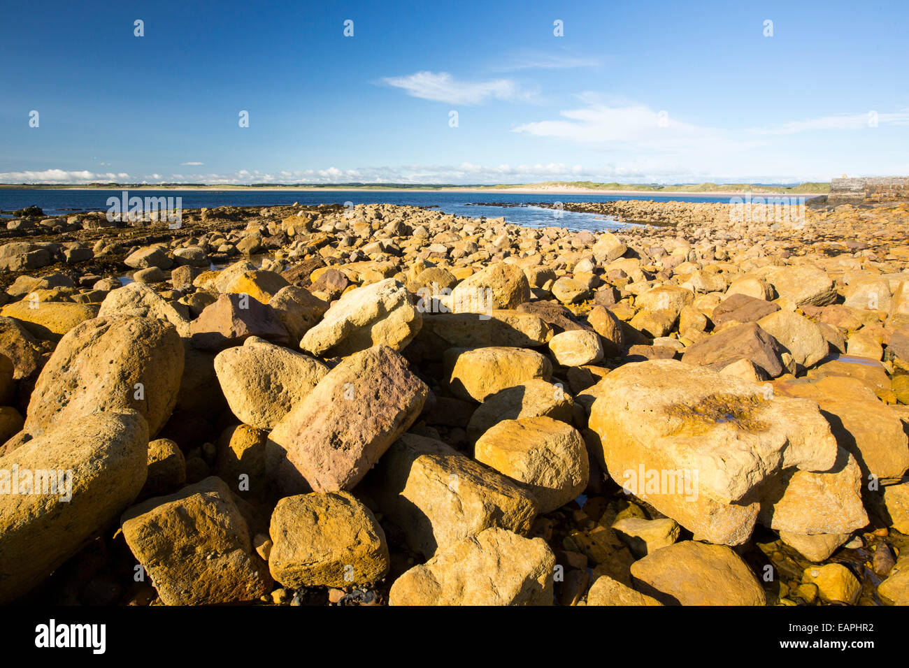 Sandstone rocks on the beach at Beadnell, Northumberland, UK Stock ...