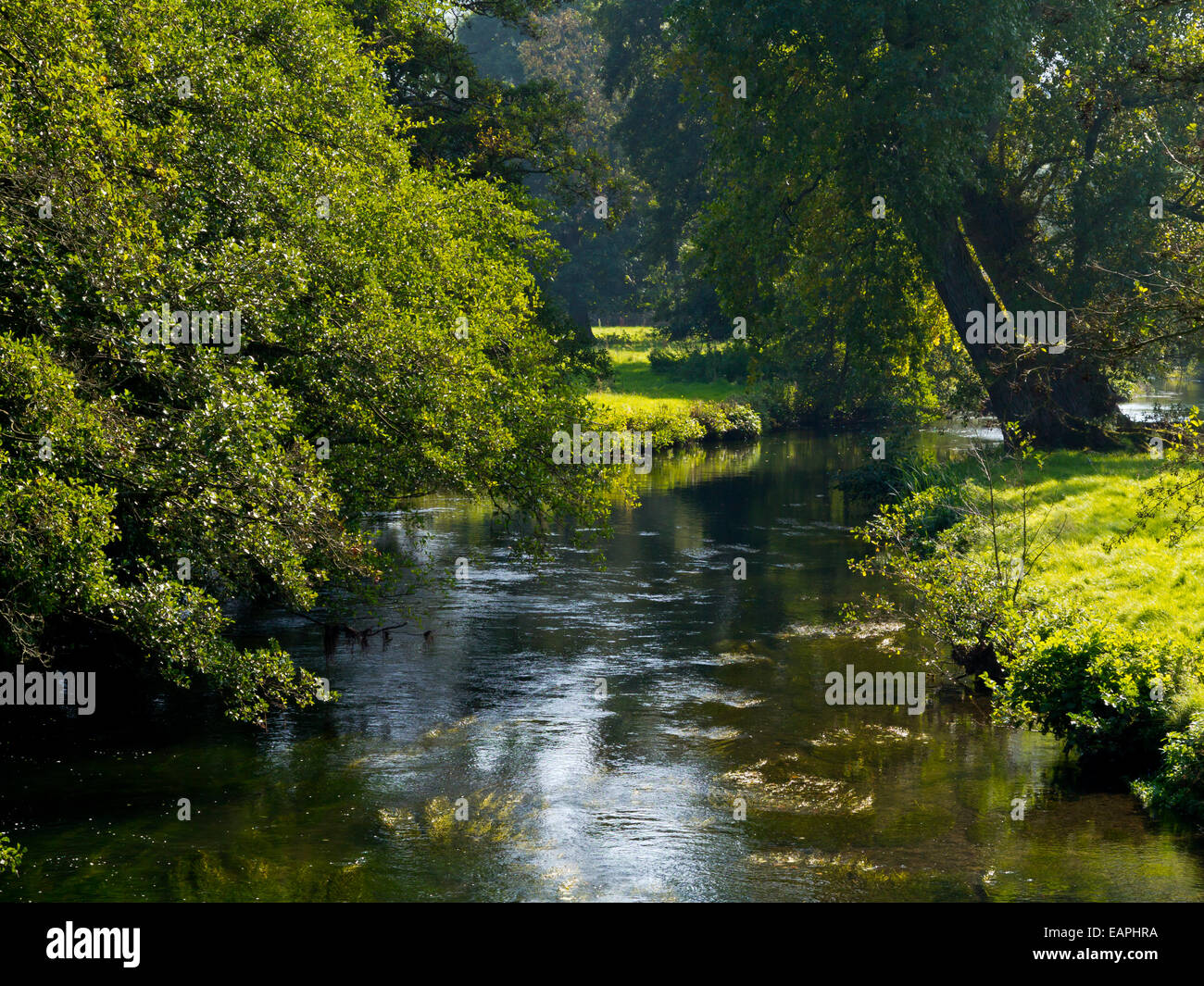 The River Wye in the Peak District Derbyshire England UK flowing near ...