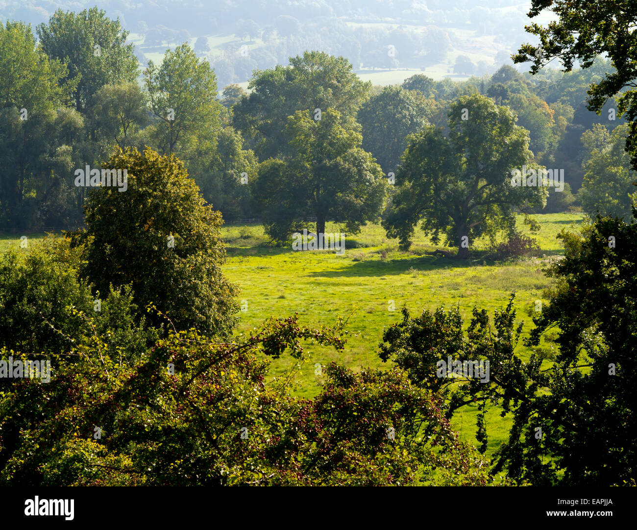 View across rural landscape showing trees and green fields in summer ...