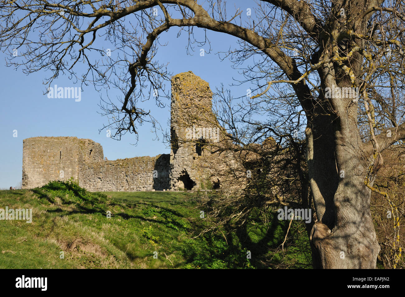 Pevensey castle england hi-res stock photography and images - Alamy