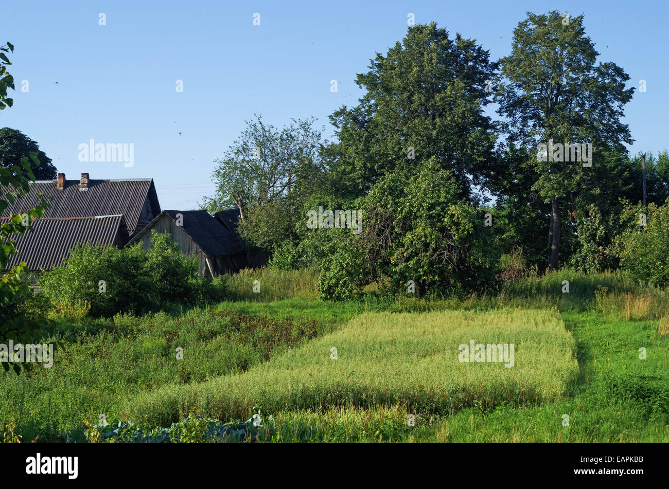 Rural timber houses barns hi-res stock photography and images - Alamy