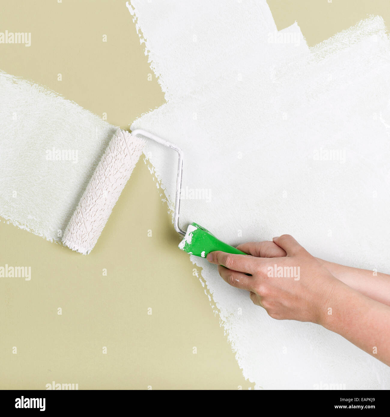 Closeup of a hand with paint roller Stock Photo - Alamy