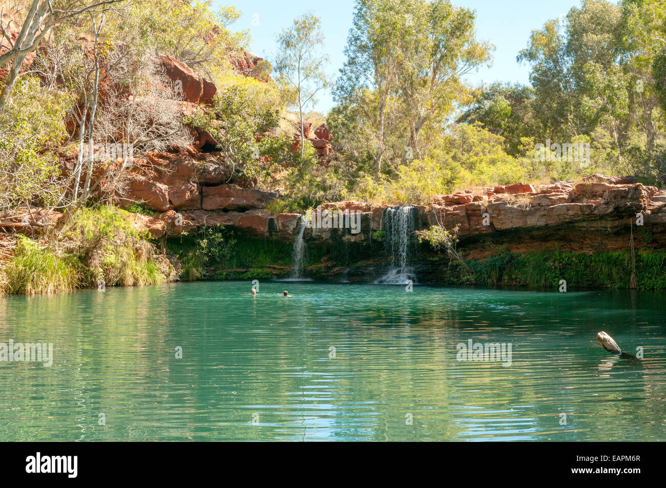 Fern Pool, Dales Gorge, Karijini NP, WA, Australia Stock Photo - Alamy
