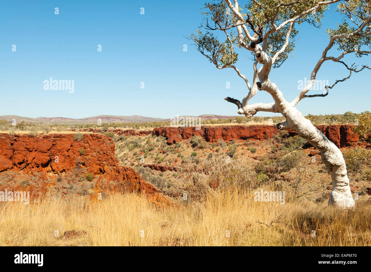 Circular Lookout High Resolution Stock Photography and Images - Alamy