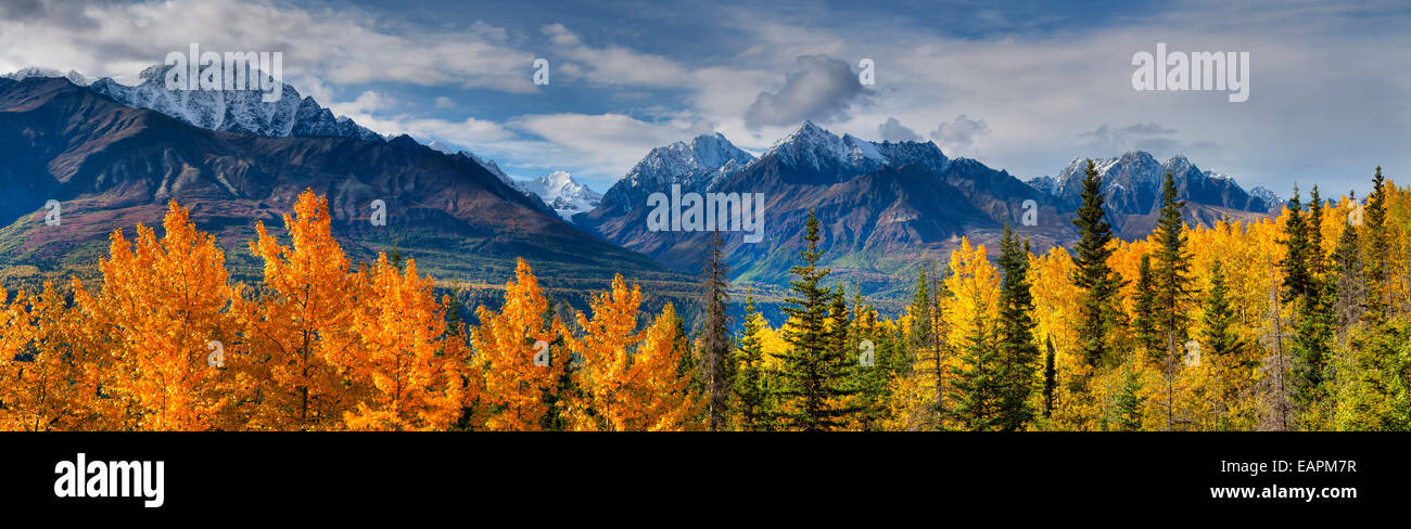 Panoramic View Of The Fall Foliage And Snowcapped Chugach Mountains ...