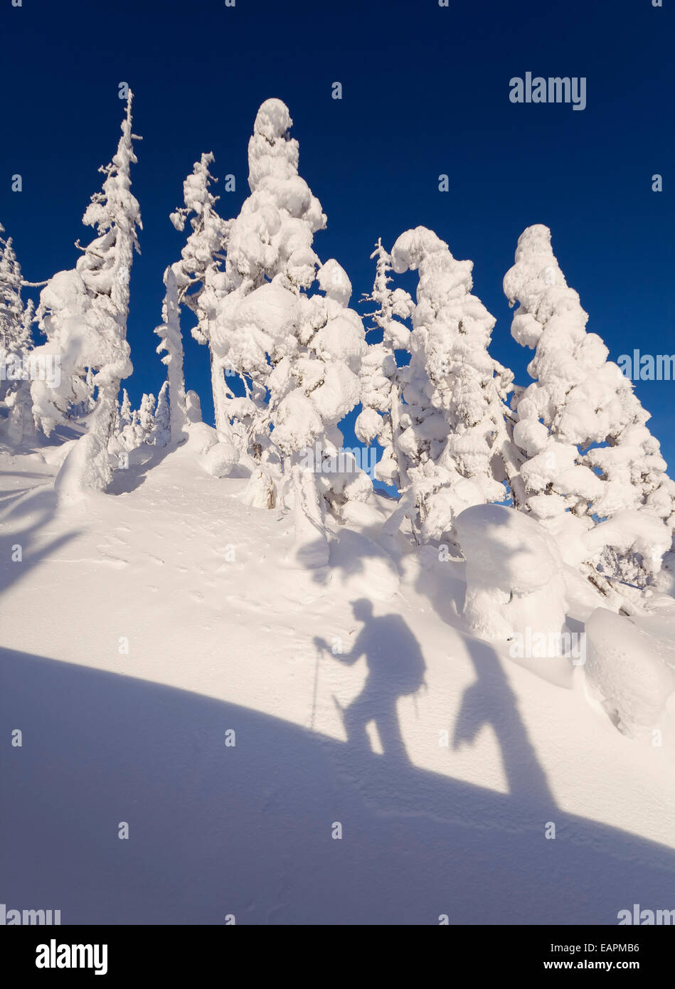 Shadow Of A Skier Climbing The Snow Covered North Wrangell Trail ...