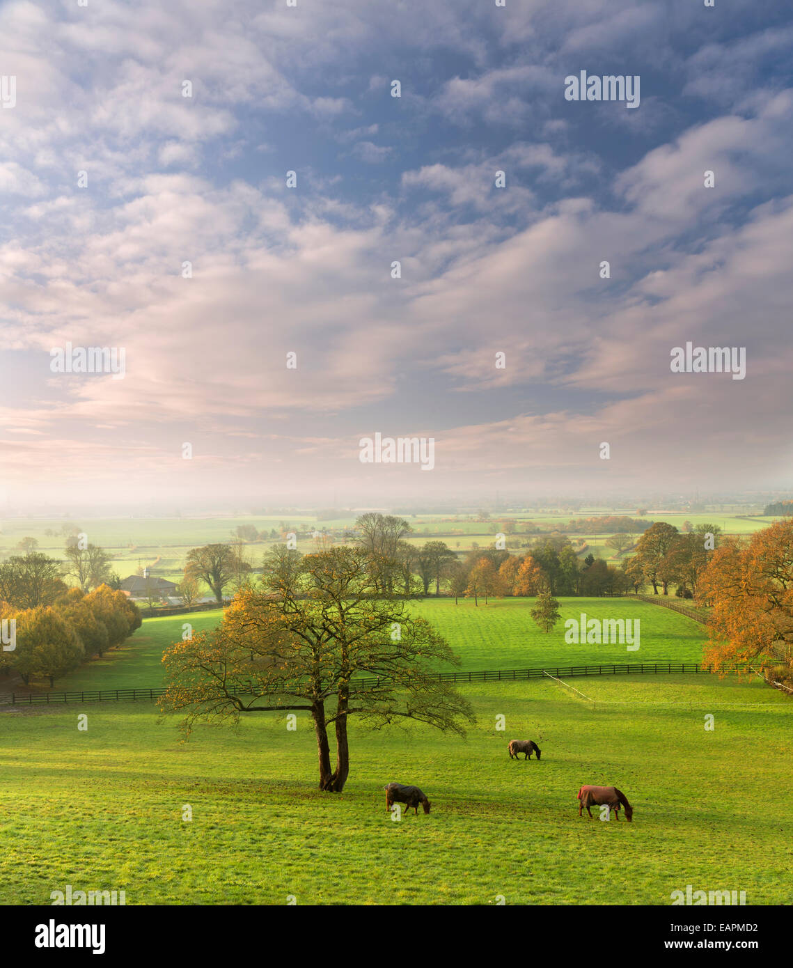 The Vale of York from Crayke village in North Yorkshire, November 2014 ...