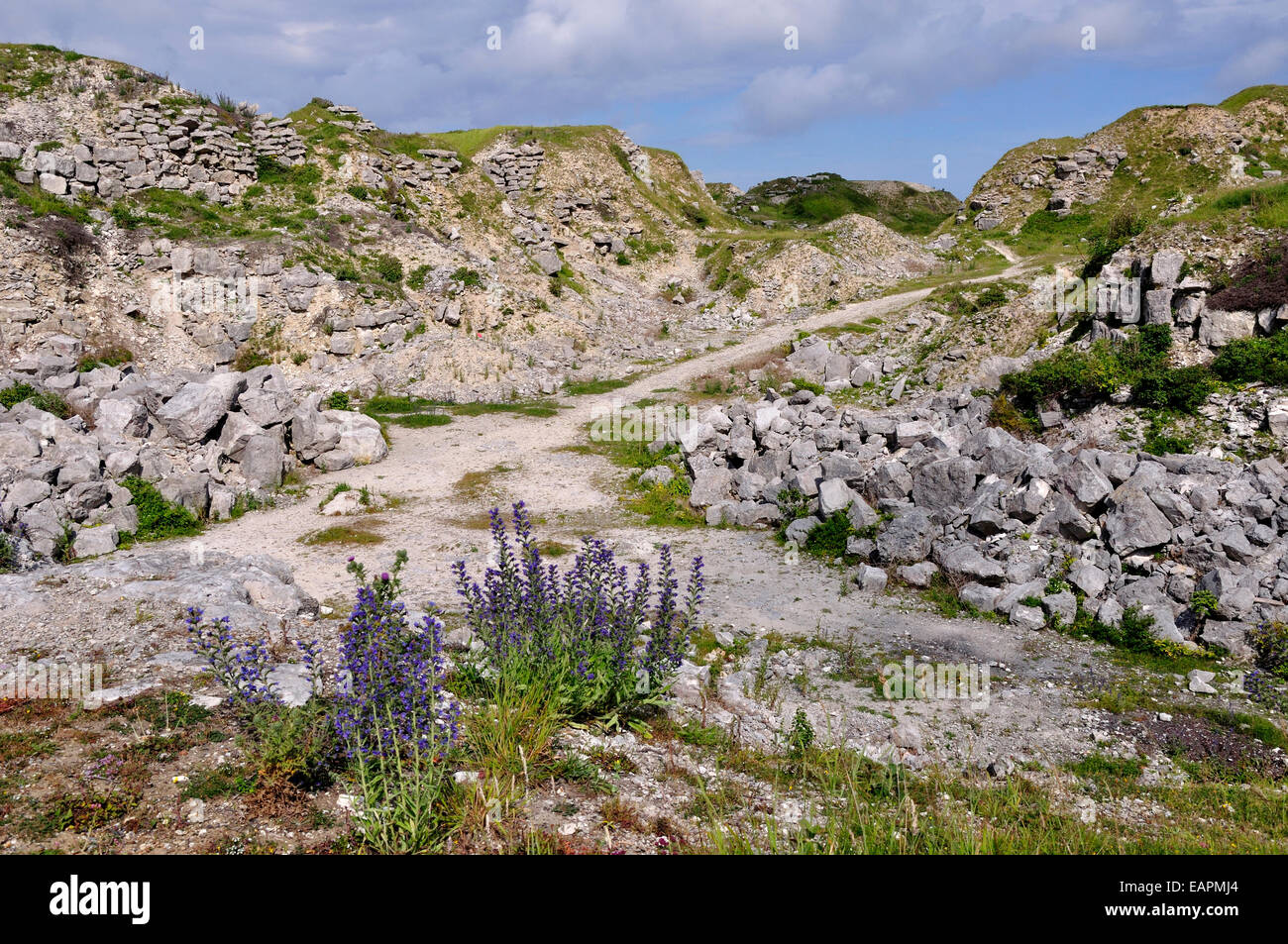 Portland dorset quarry hi-res stock photography and images - Alamy