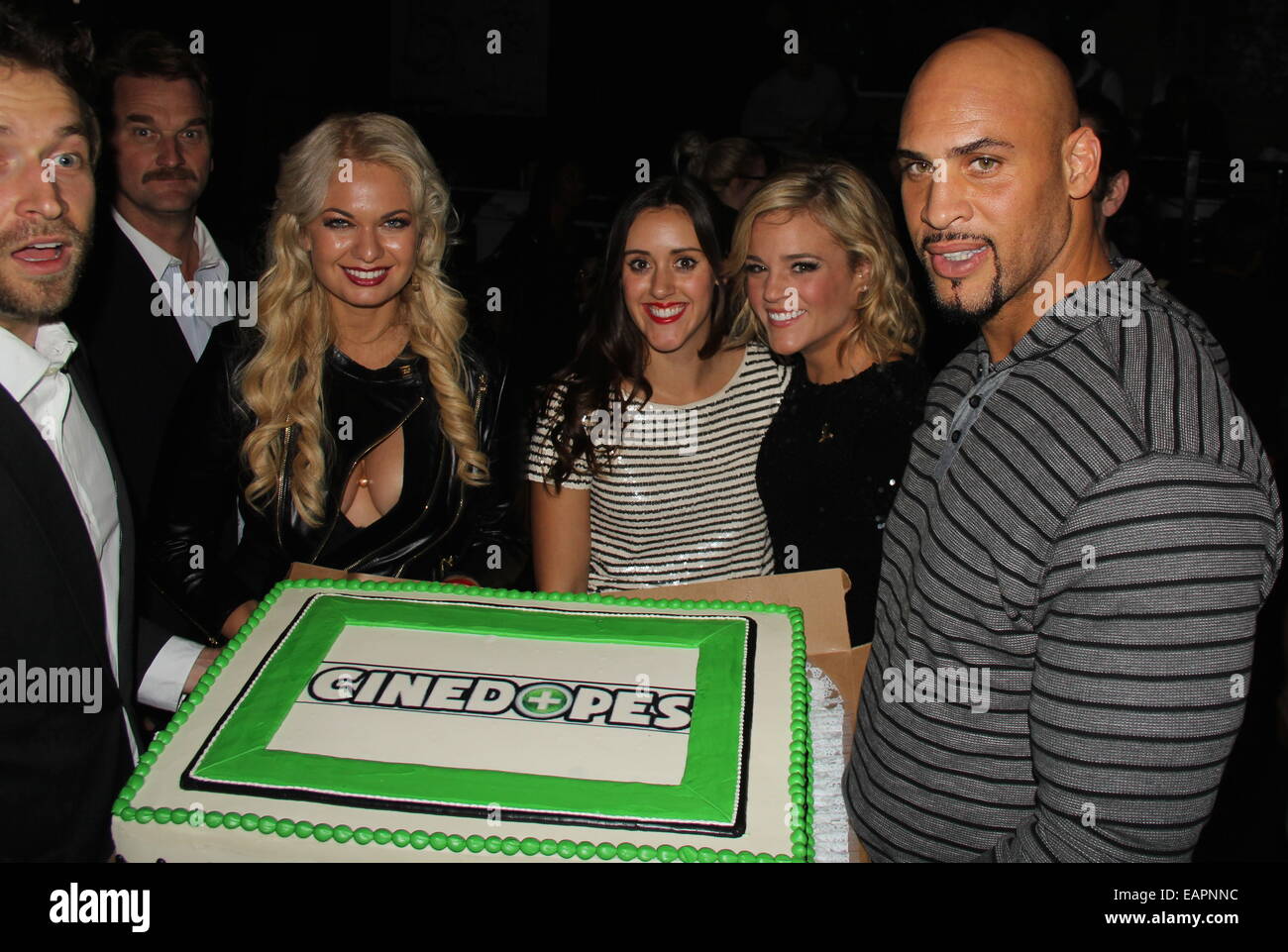 Hollywood, California, USA. 18th Nov, 2014. I15719CHW.'Cinedopes' Web ...