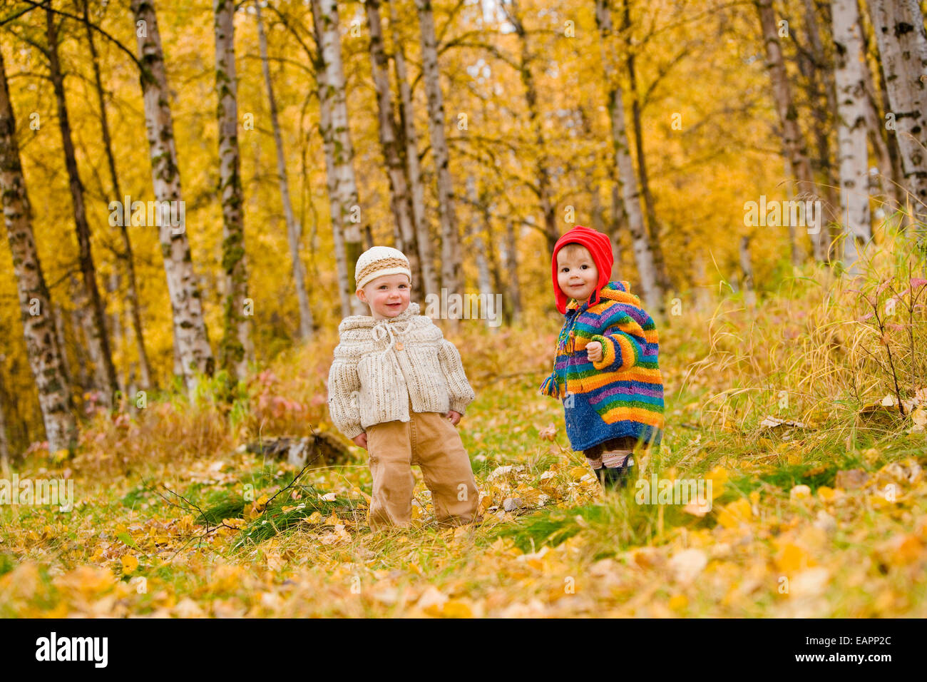 Two Young Girls Playing In The Fall Leaves In An Anchorage Park In ...