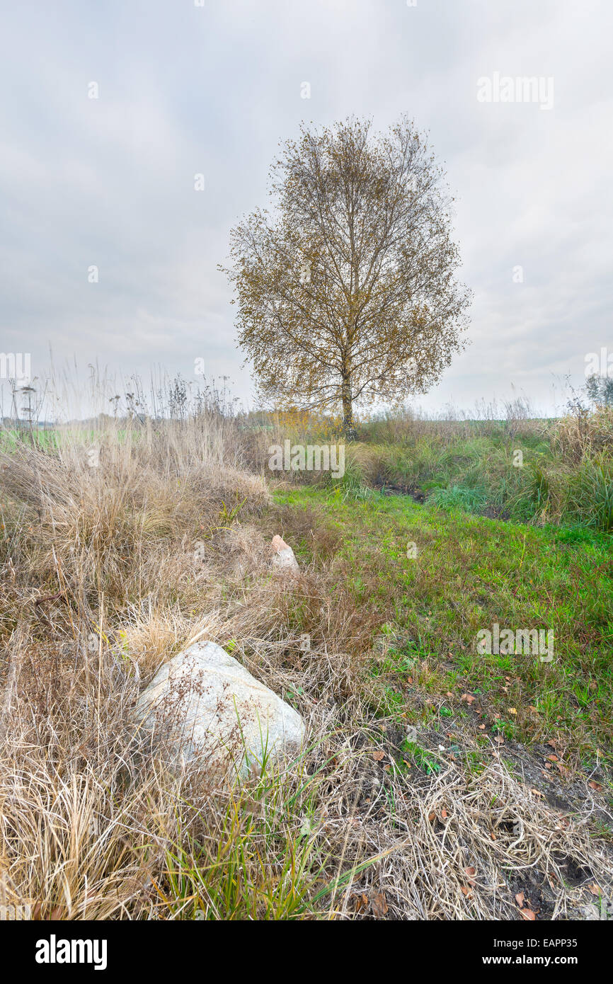 Stony field landscape Stock Photo - Alamy