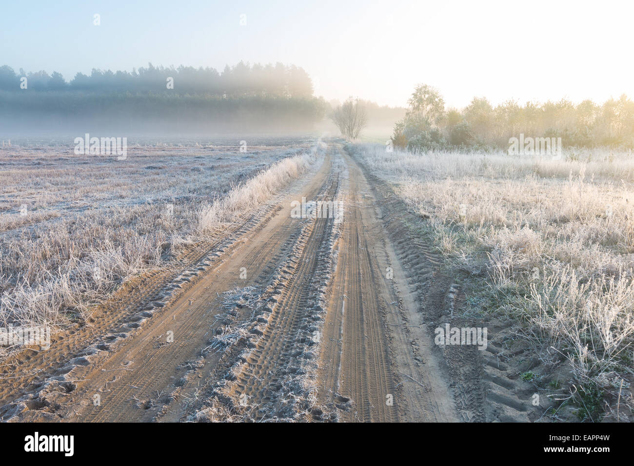 Beautiful landscape with hoarfrost Stock Photo - Alamy