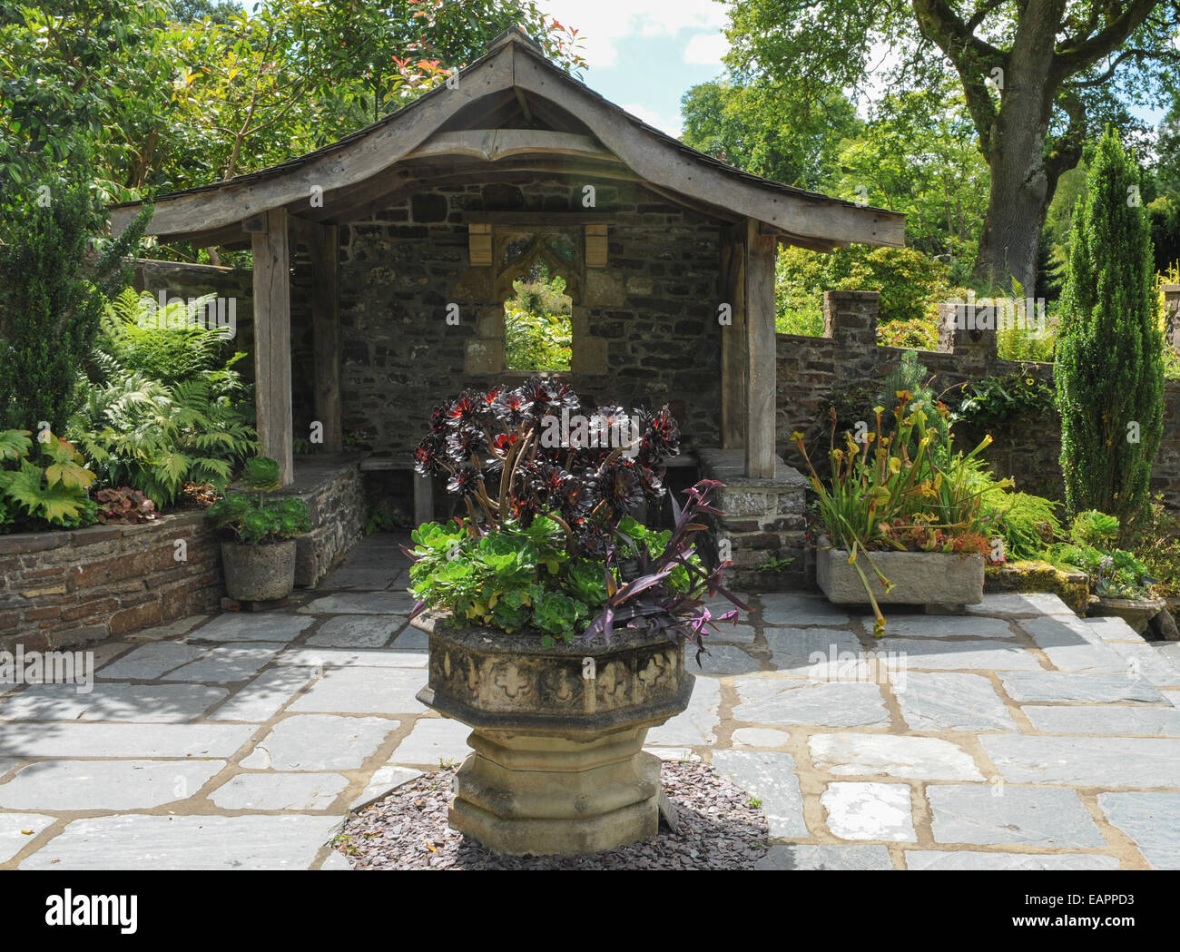 Planters stone wall hi-res stock photography and images - Alamy