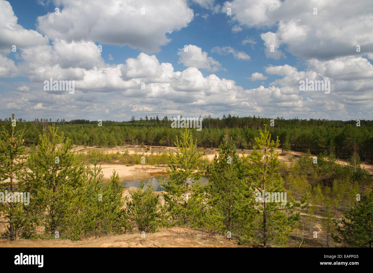 Abandoned sand extraction site in northeast Latvia Stock Photo - Alamy