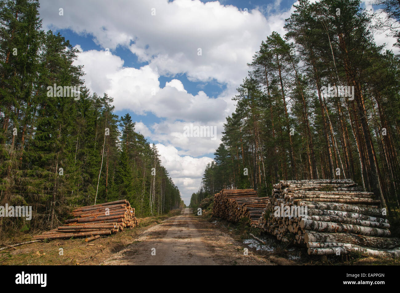 Stack of timber by the wayside Stock Photo - Alamy