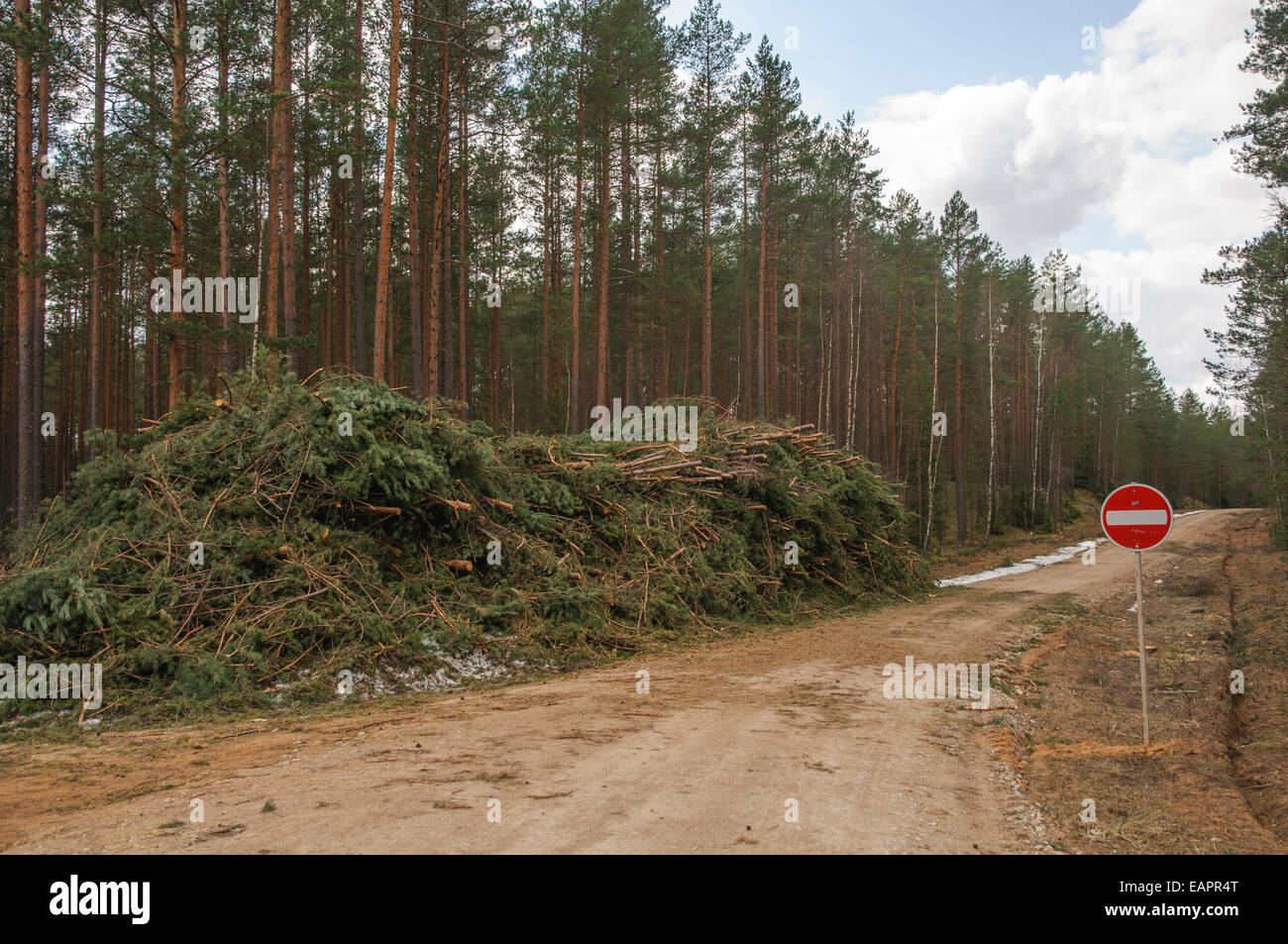 Pile tree bark branches hi-res stock photography and images - Alamy