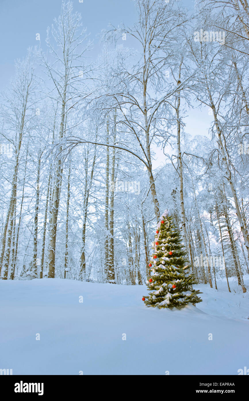 Decorated Christmas Tree In Front Of A Snow Covered Birch Forest ...