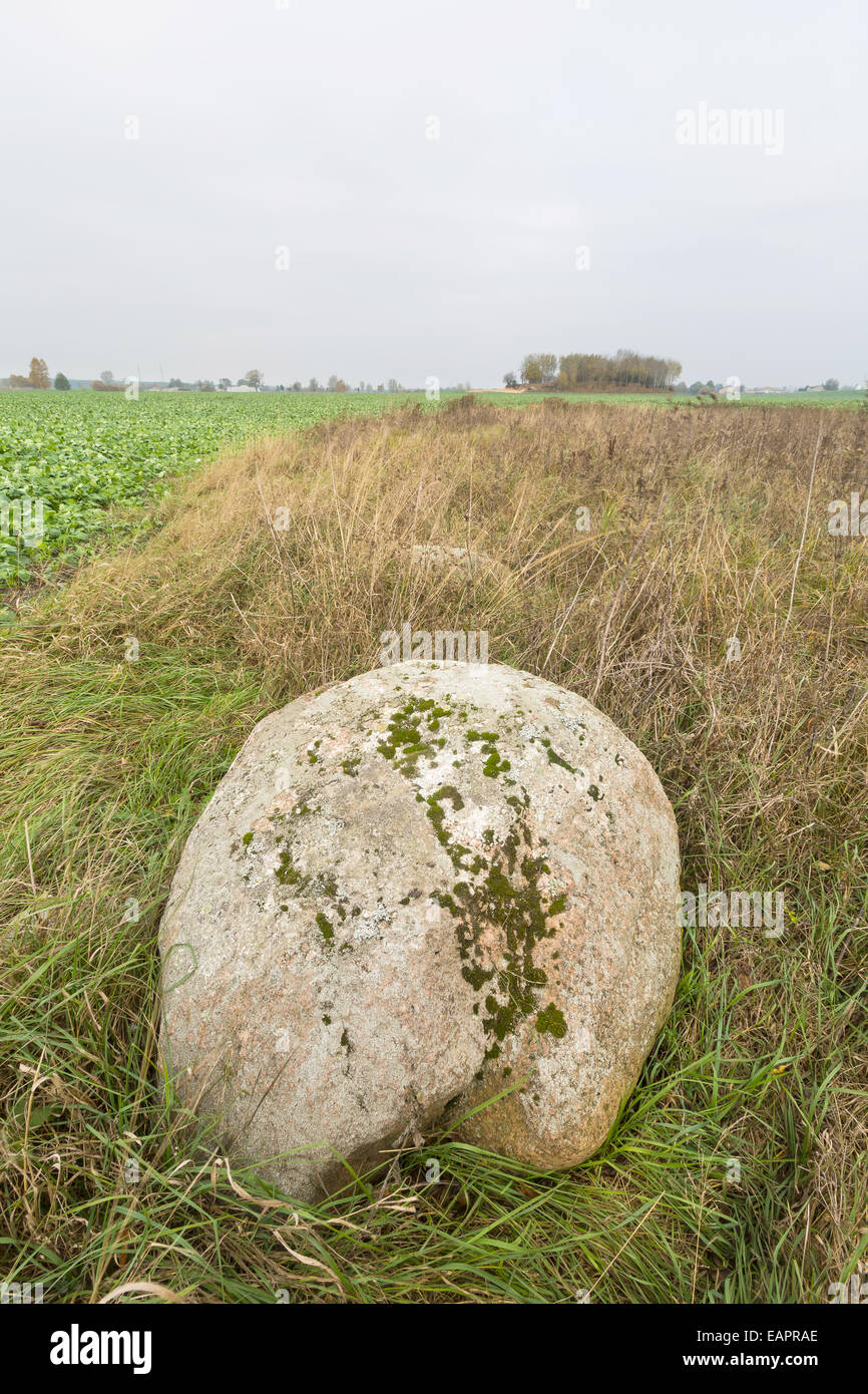 Stony field landscape Stock Photo - Alamy
