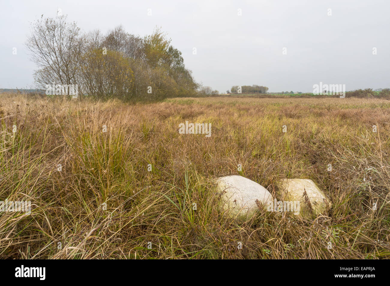 Stony field landscape Stock Photo - Alamy