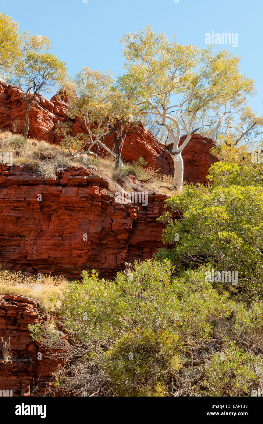 Hancock gorge, karijini national park hi-res stock photography and ...