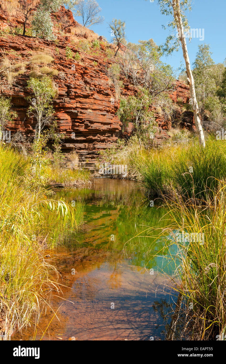 Kalamina gorge karijini national park hi-res stock photography and ...