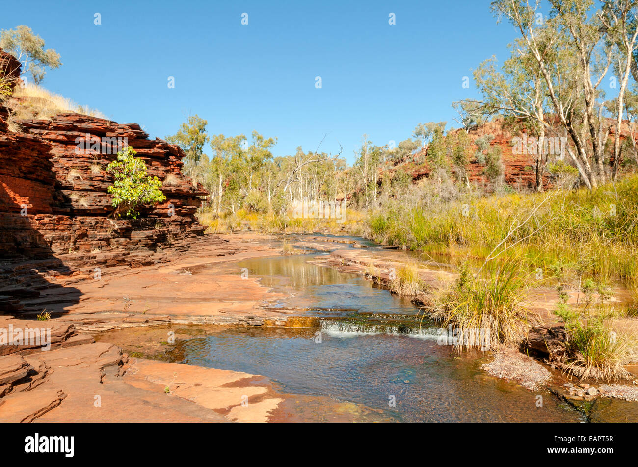 Kalamina Gorge, Karijini NP, WA, Australia Stock Photo - Alamy
