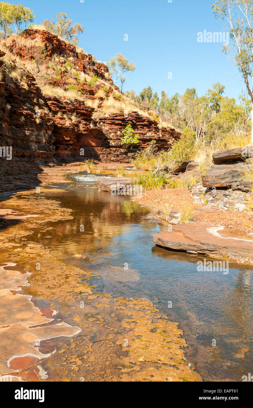 Kalamina hi-res stock photography and images - Alamy