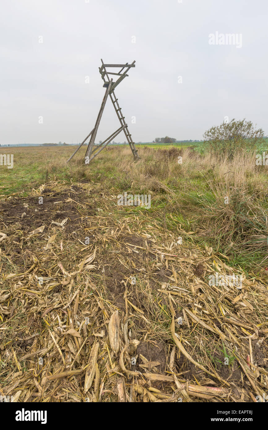 Stubble field after corn. Countryside landscape Stock Photo - Alamy