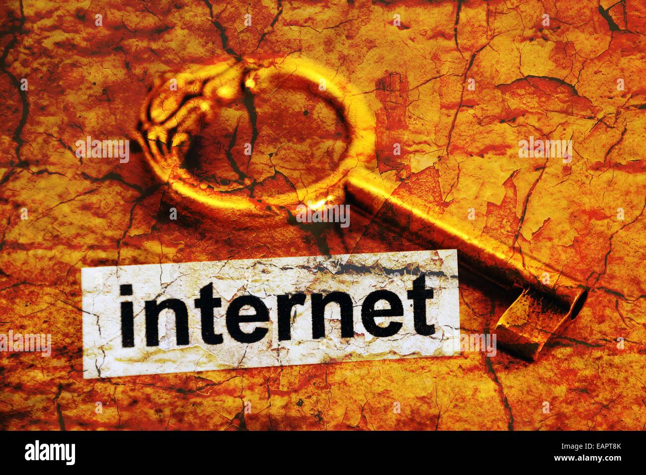 Internet tag and old key Stock Photo - Alamy
