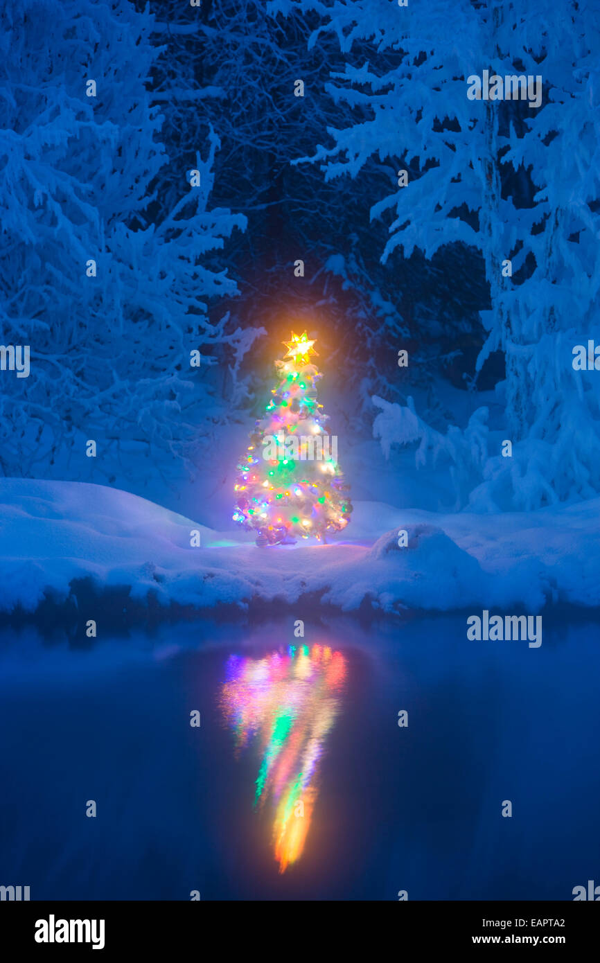 Decorated Christmas Tree Reflected In A Stream With Hoarfrost Covered ...