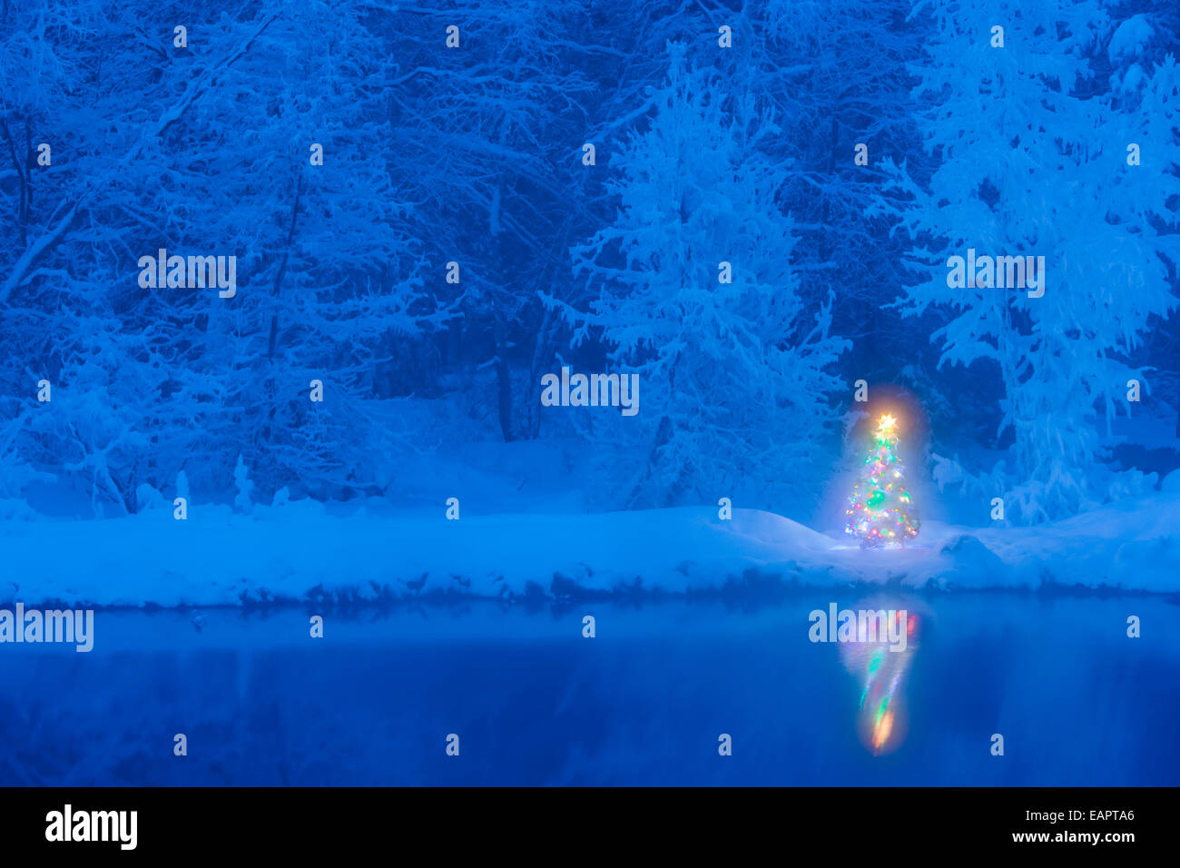 Decorated Christmas Tree Reflected In A Stream With Hoarfrost Covered ...