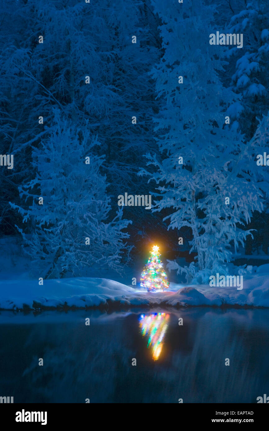 Lighted christmas tree in forest hi-res stock photography and images ...