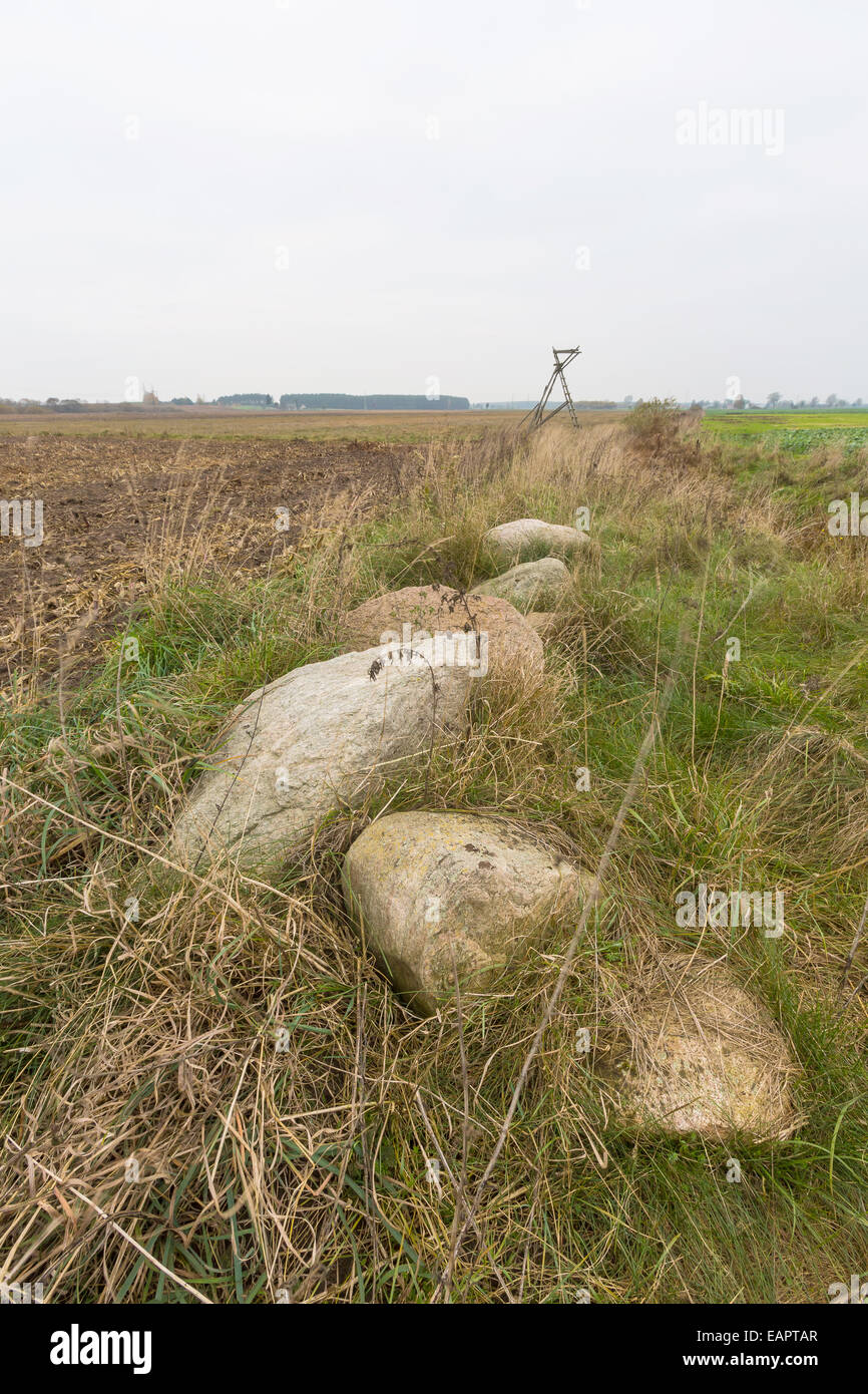 Stony field landscape Stock Photo - Alamy