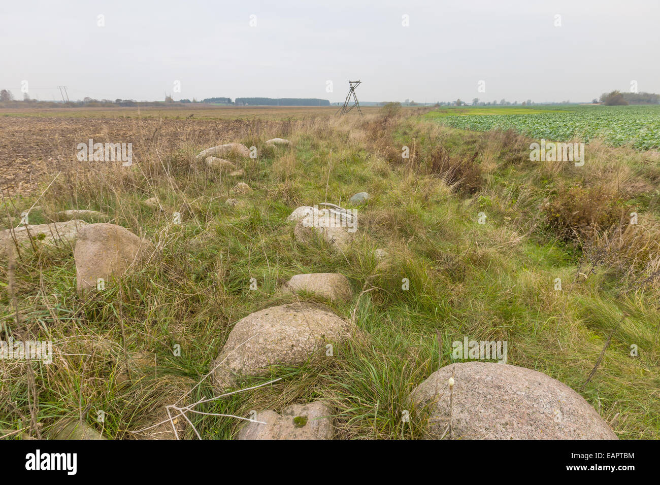 Stony field landscape Stock Photo - Alamy
