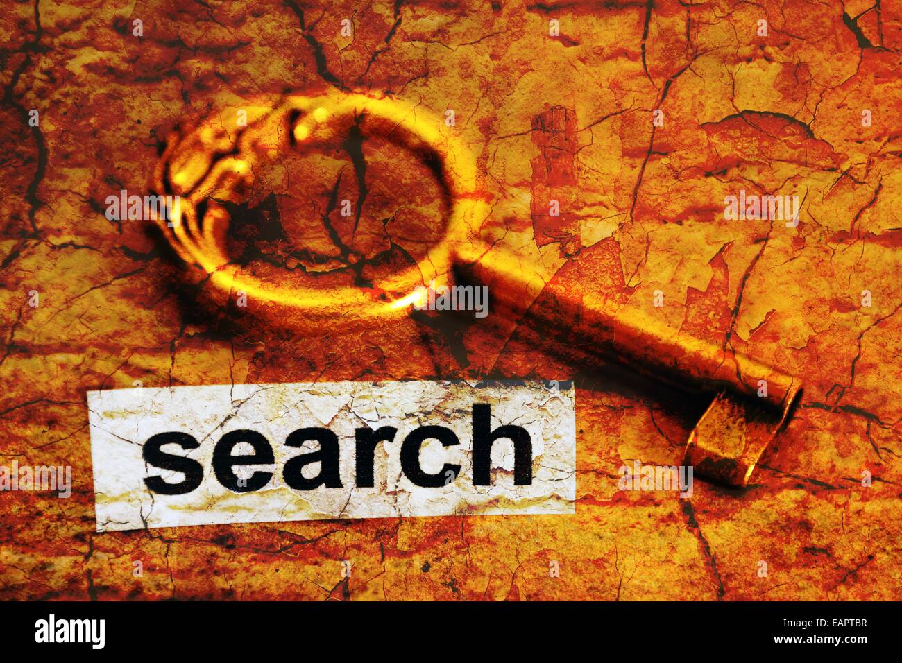 Researching seo hi-res stock photography and images - Alamy