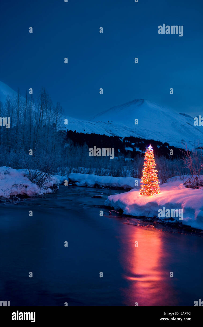 Lit Christmas Tree On The Bank Of A Stream During Winter In ...