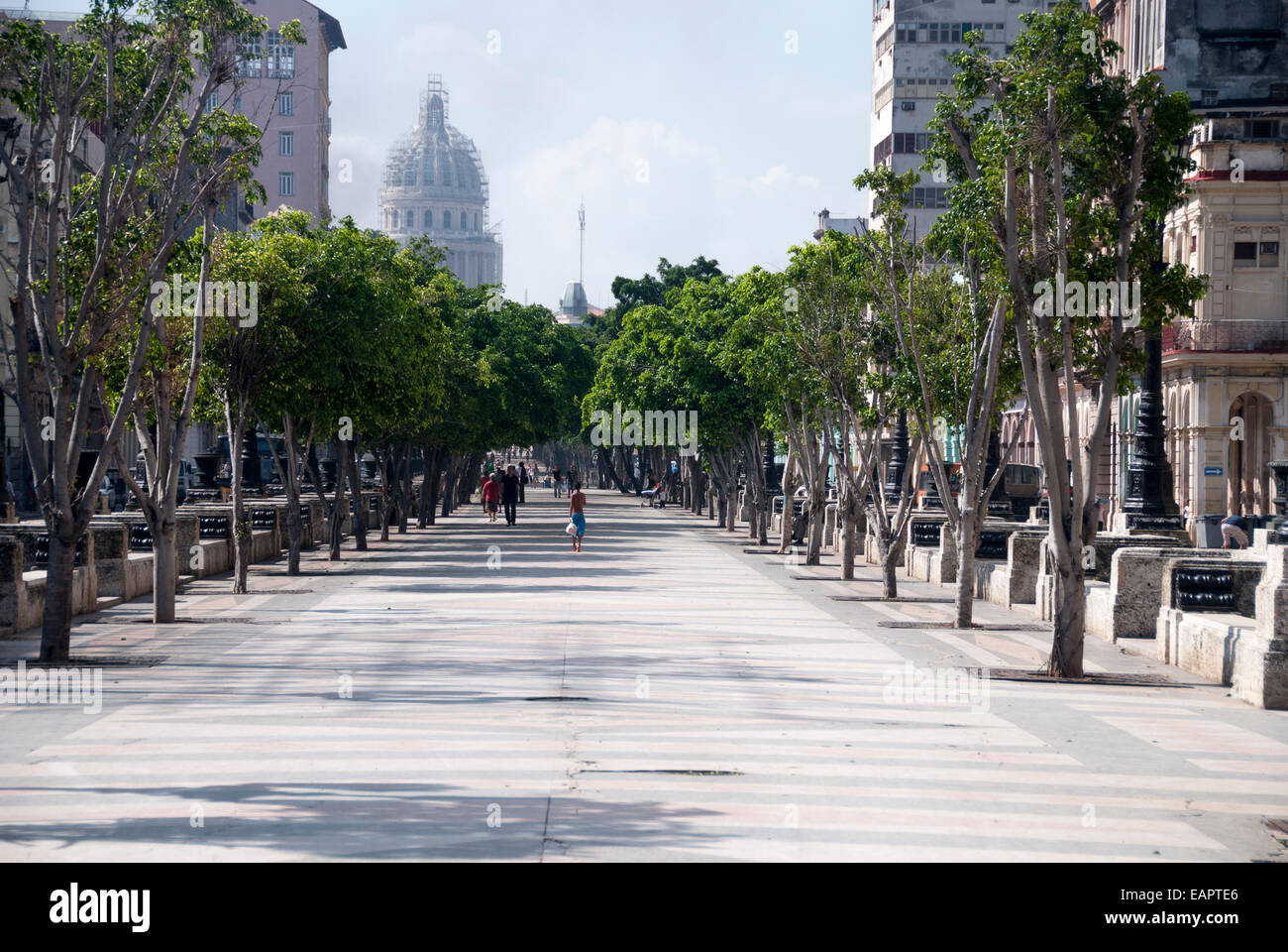 Paseo del Prado is a pedestrian promenade that divides the center of ...