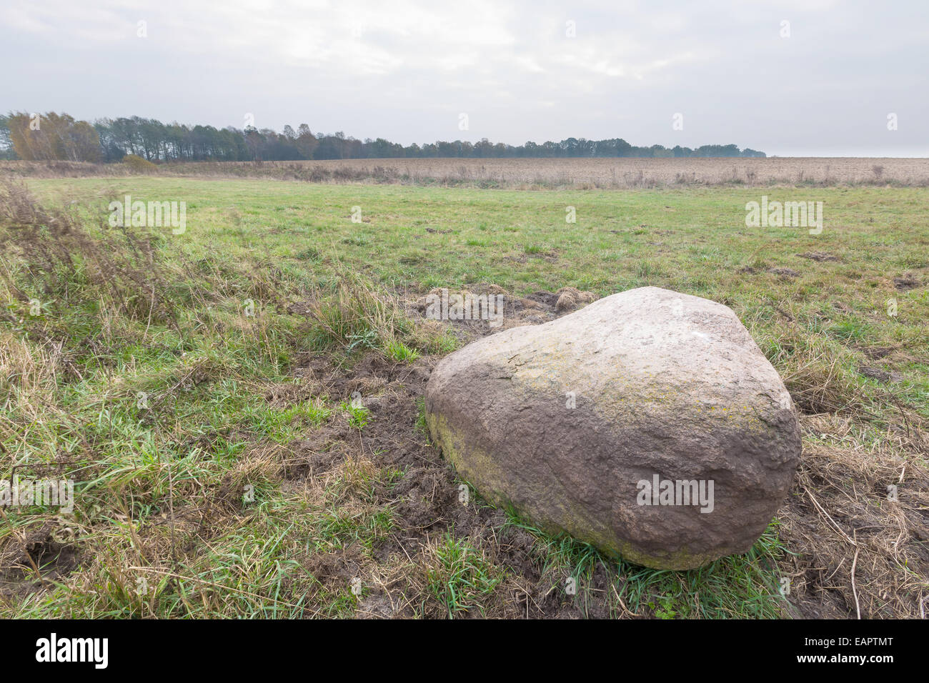 Stony field landscape Stock Photo - Alamy