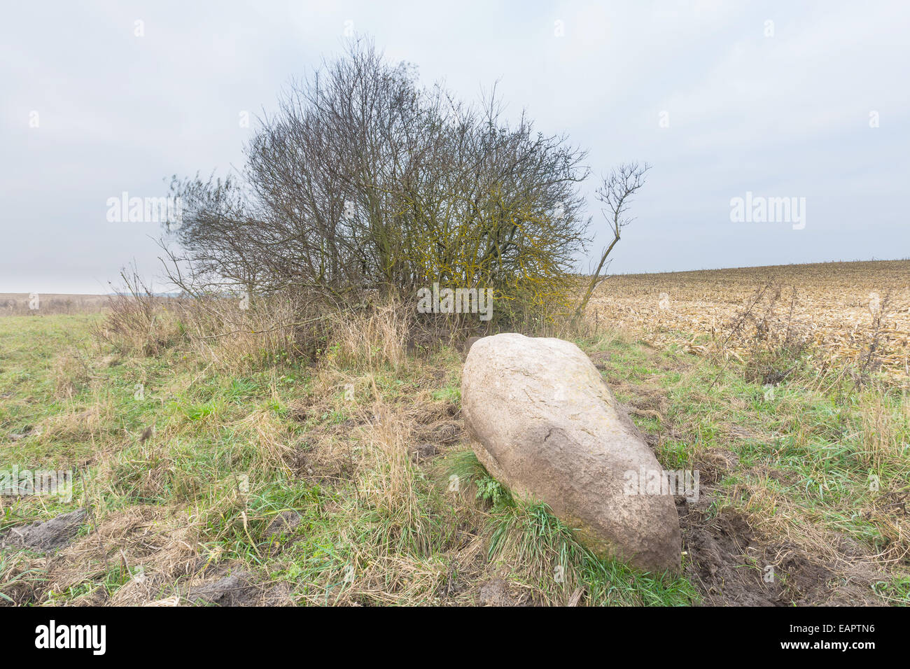Stony field landscape Stock Photo - Alamy