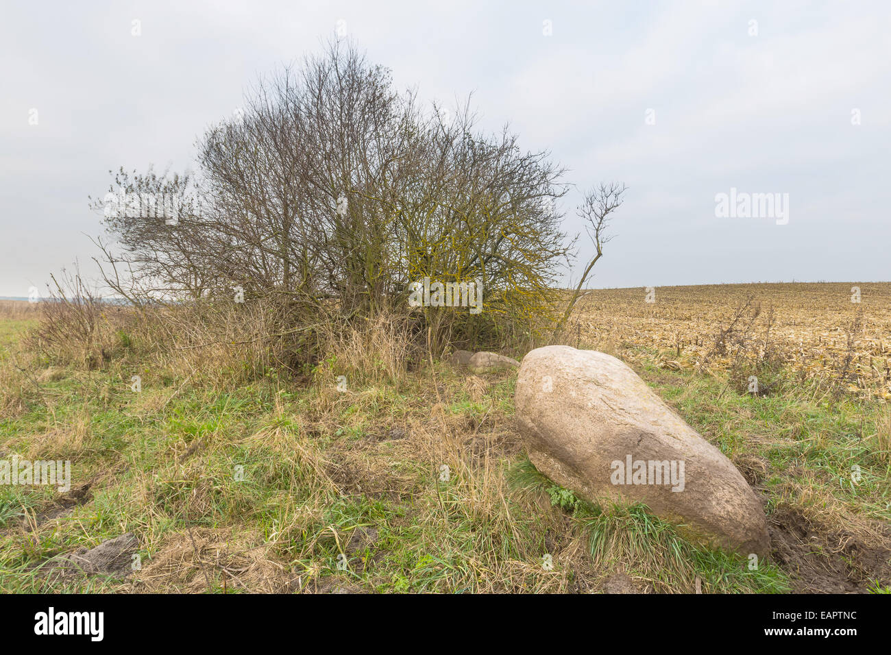 Stony field landscape Stock Photo - Alamy
