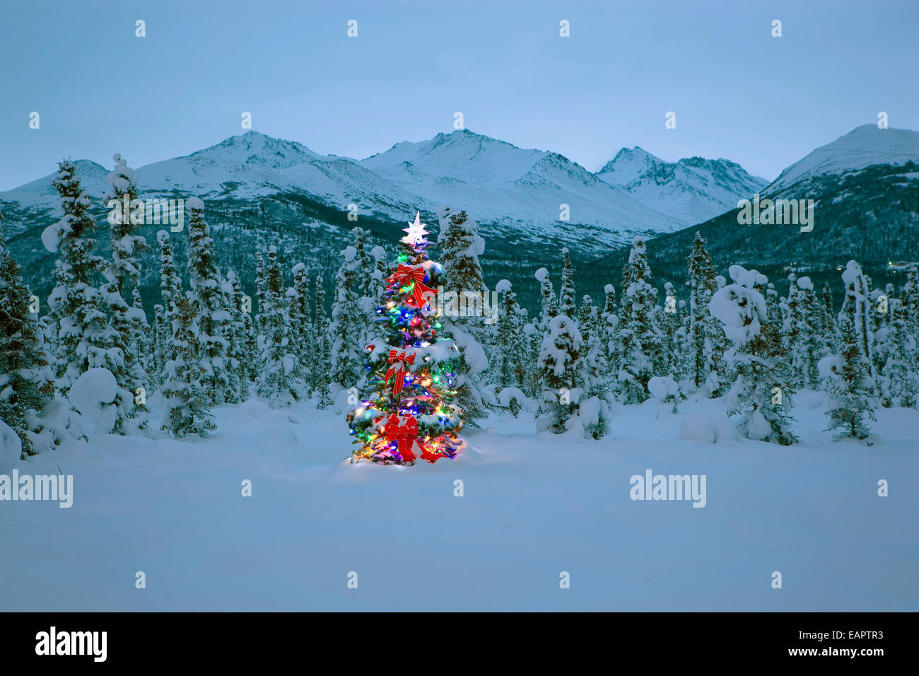 The characteristics hi-res stock photography and images - Alamy