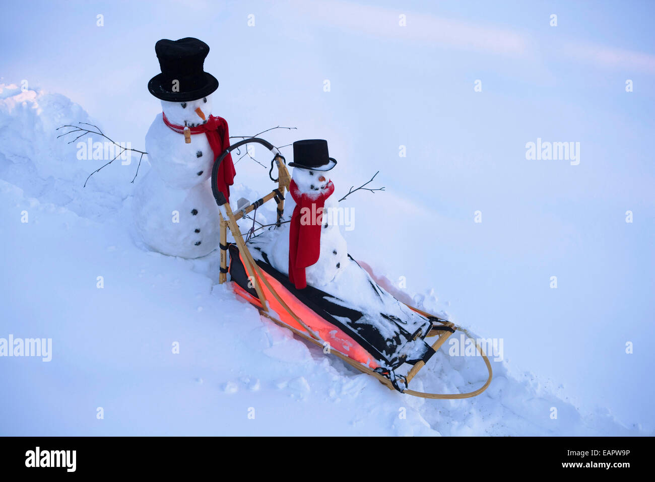 Large & Small Snowman Ride On Dog Sled In Deep Snow Interior Fairbanks ...
